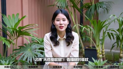 香樟树竟是驱蚊高手?家里种一棵,整个夏天不怕蚊!