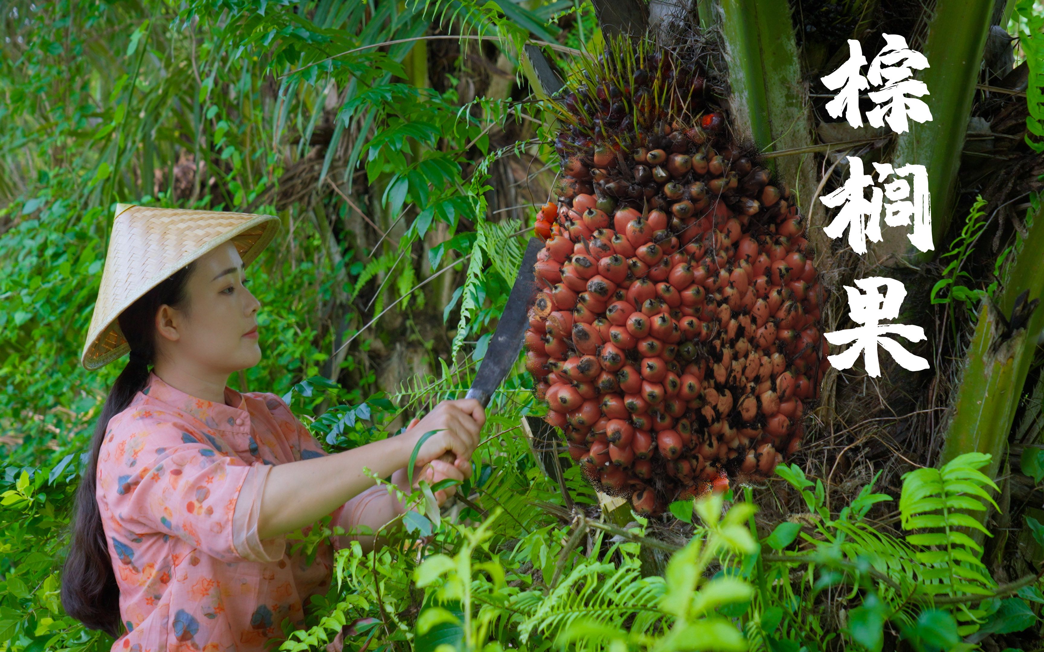 复刻方便面有多难?得从棕榈果榨油开始…【滇西小哥】
