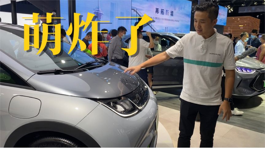 比亚迪海豚:10万级电动车也要飙高音