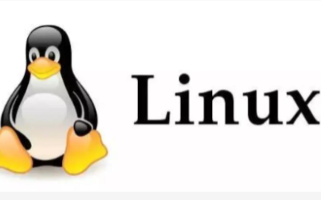 linux/unix系统保姆级安装教程【4k】高清发布