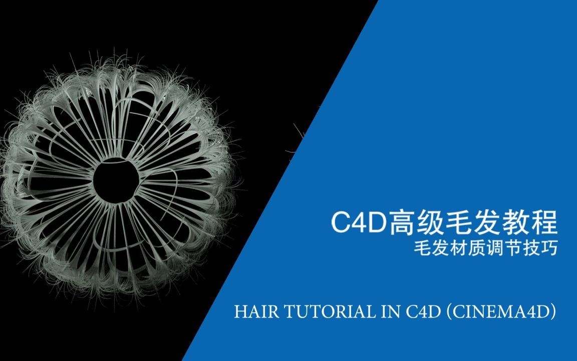 C4D高级毛发教程-毛发材质调节技巧