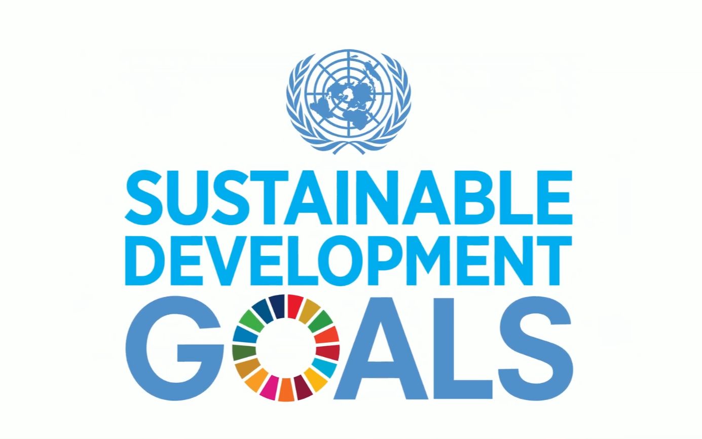 【可持续发展/SDGs/英字】联合国可持续发展-目标简介 英文字幕