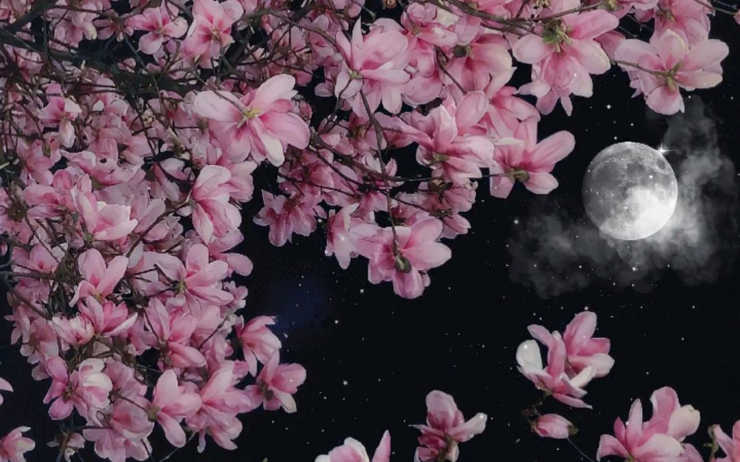 我作词的新歌《琼花醉月》,预祝大家中秋快乐,花好月圆!