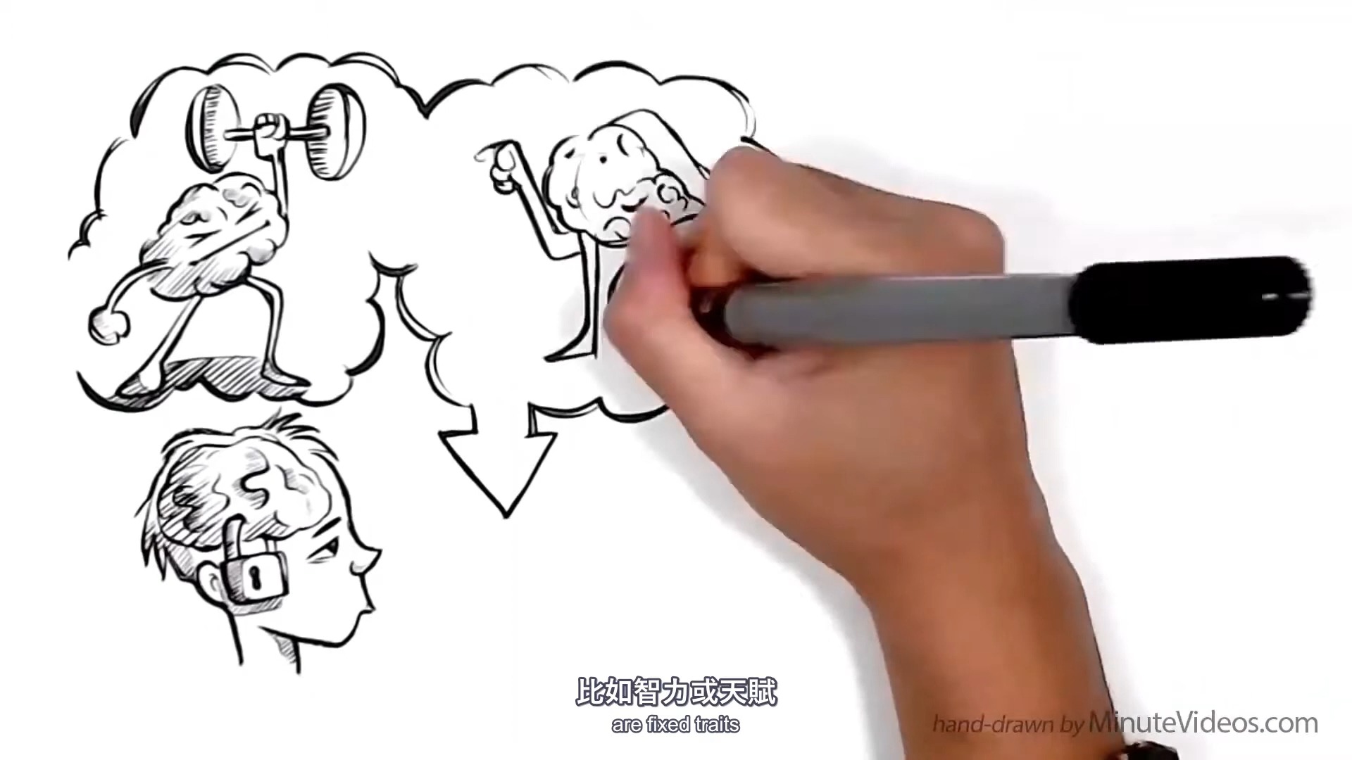 【成长型思维 vs 固定型思维】思维怎么决定一个人的成功?- 思维能...
