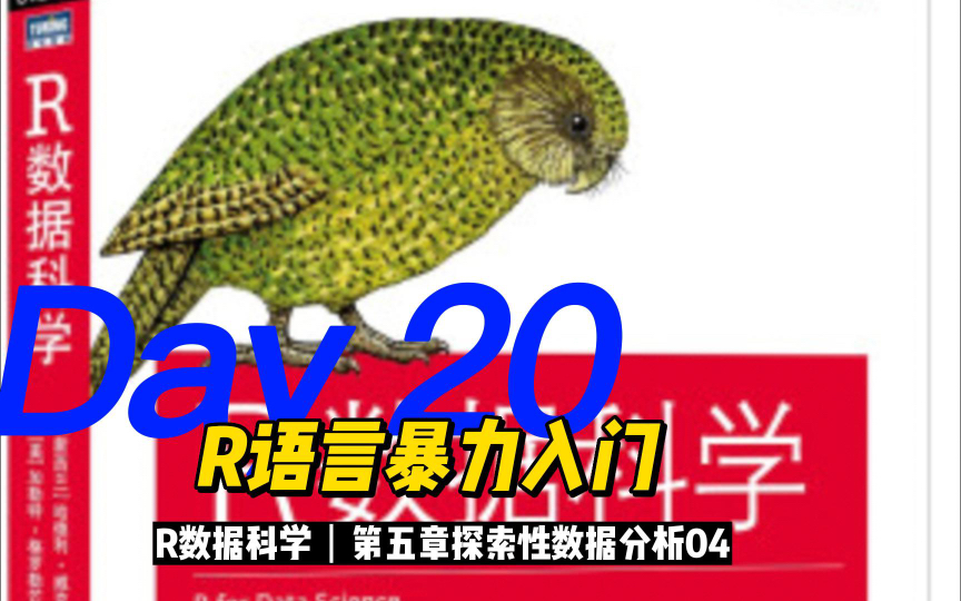 R数据科学|第五章探索性数据分析04