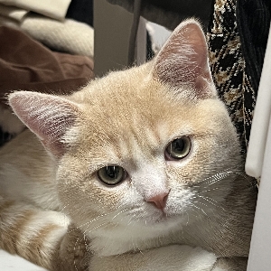 西瓜少年WooJAE 