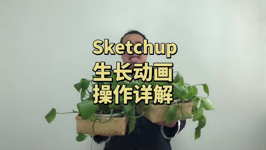 SU生长动画,原理解析,耐心看完的你一定会有所收获