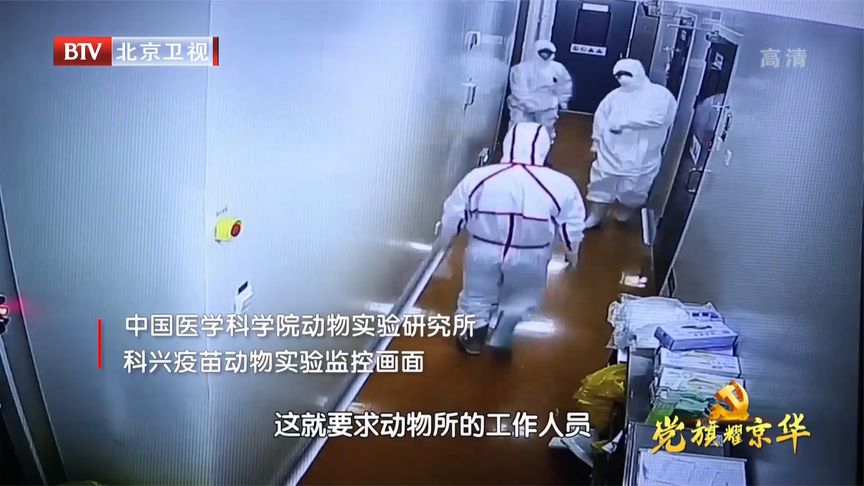 新冠疫苗动物实验怎么做?专家解释三步骤,第三步验证是否有效