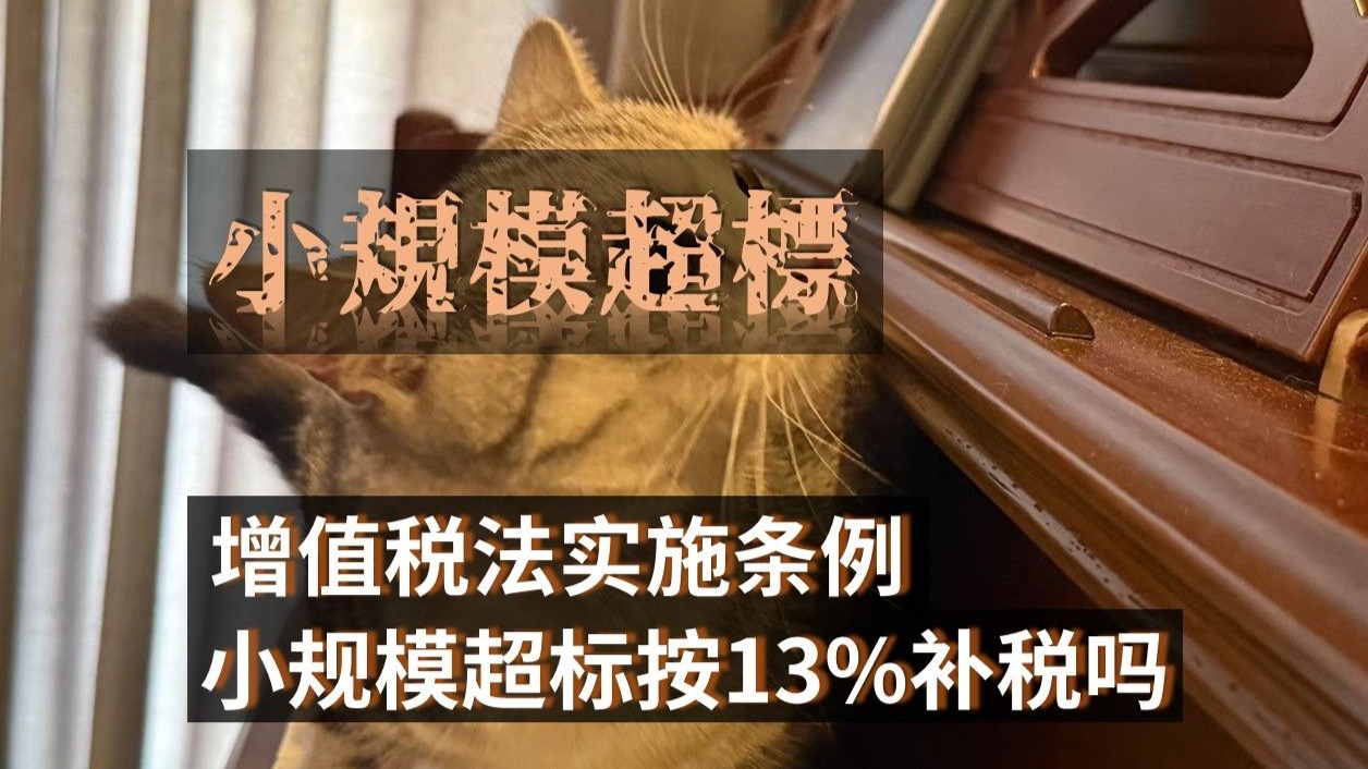 增值税法实施条例,小规模超标按13%补税吗