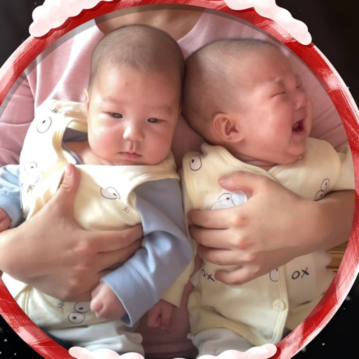 双胎妈妈养娃记 