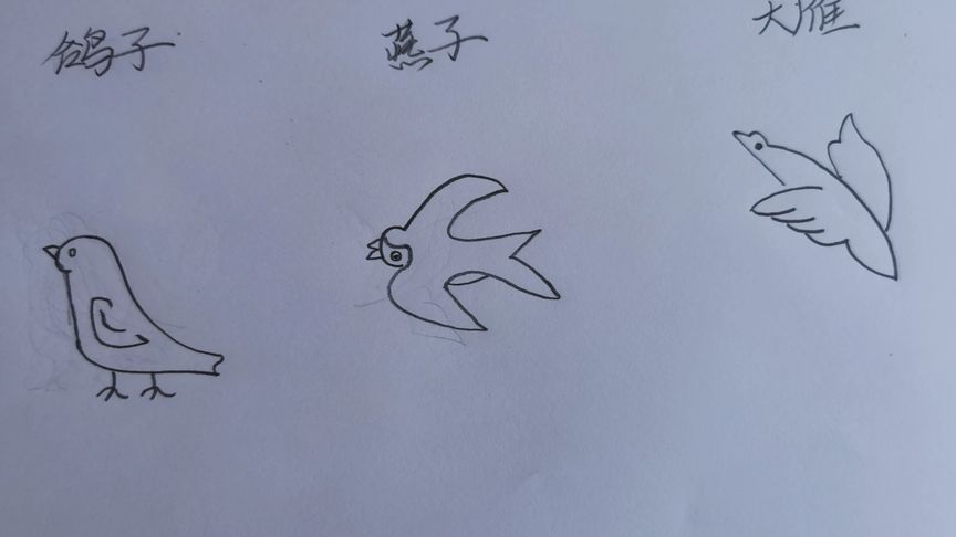 简笔画:鸟的画法。