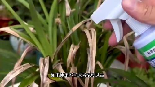 84消毒液对花有没有影响