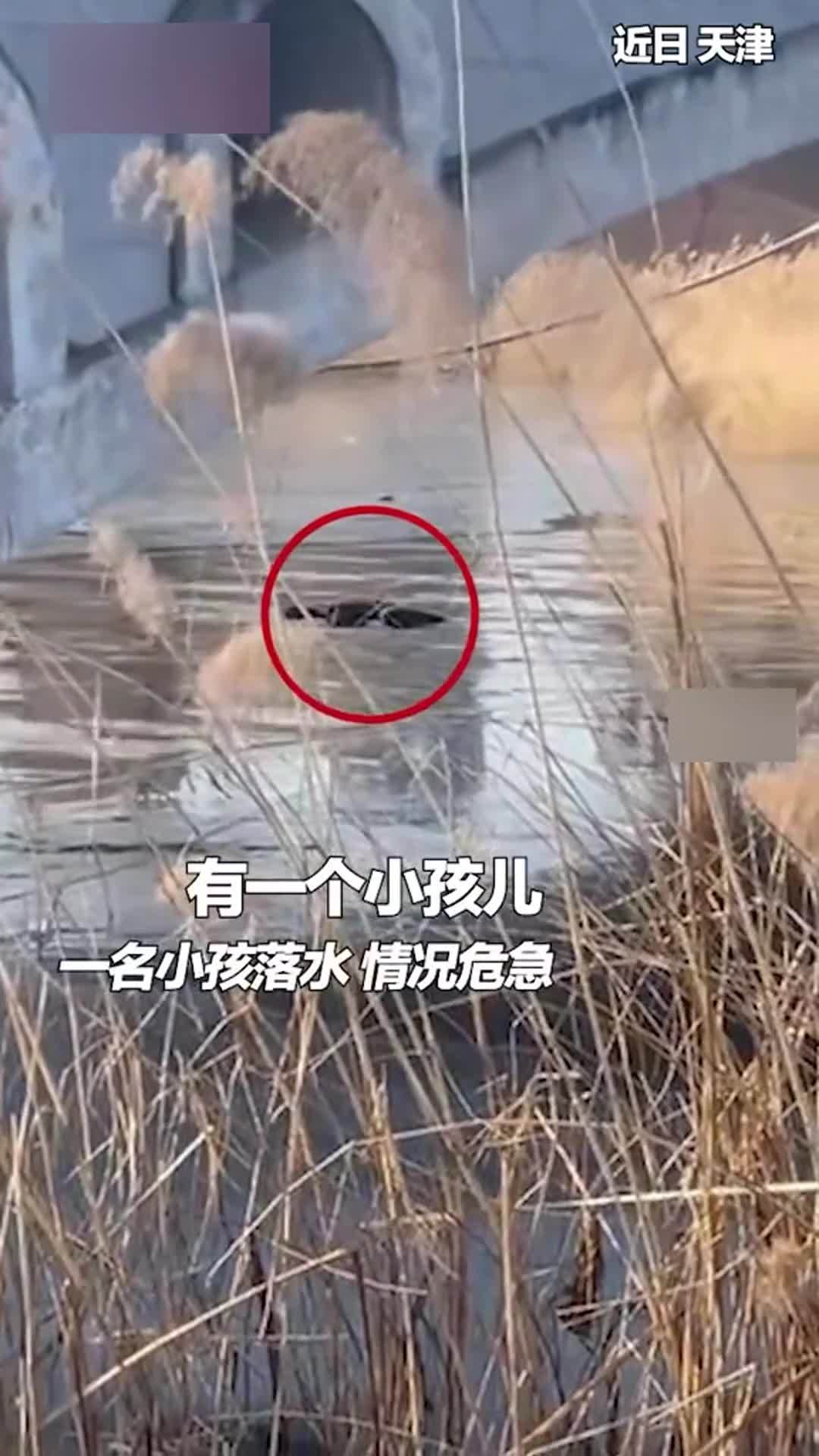 “不会游泳我也得下去!”孩子落水,热心男子英勇救援