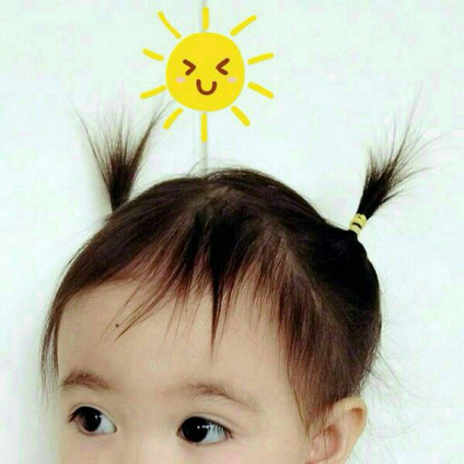 淮南小黑 