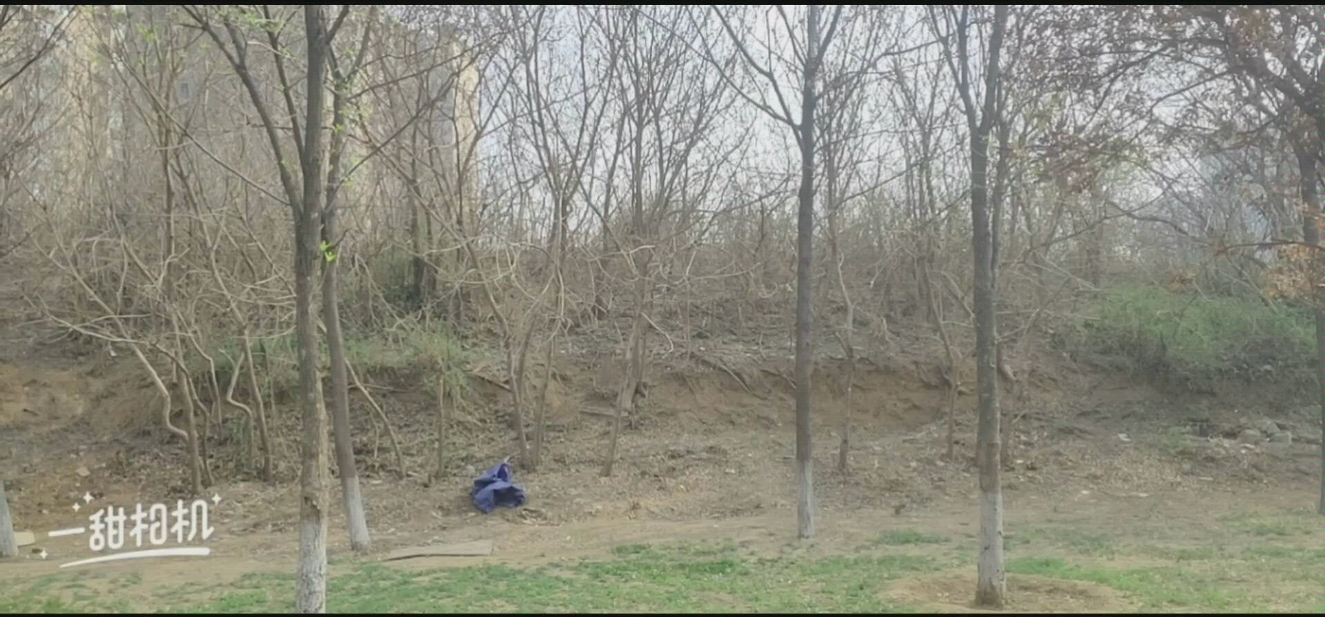 现为河北省重点文物保护单位。