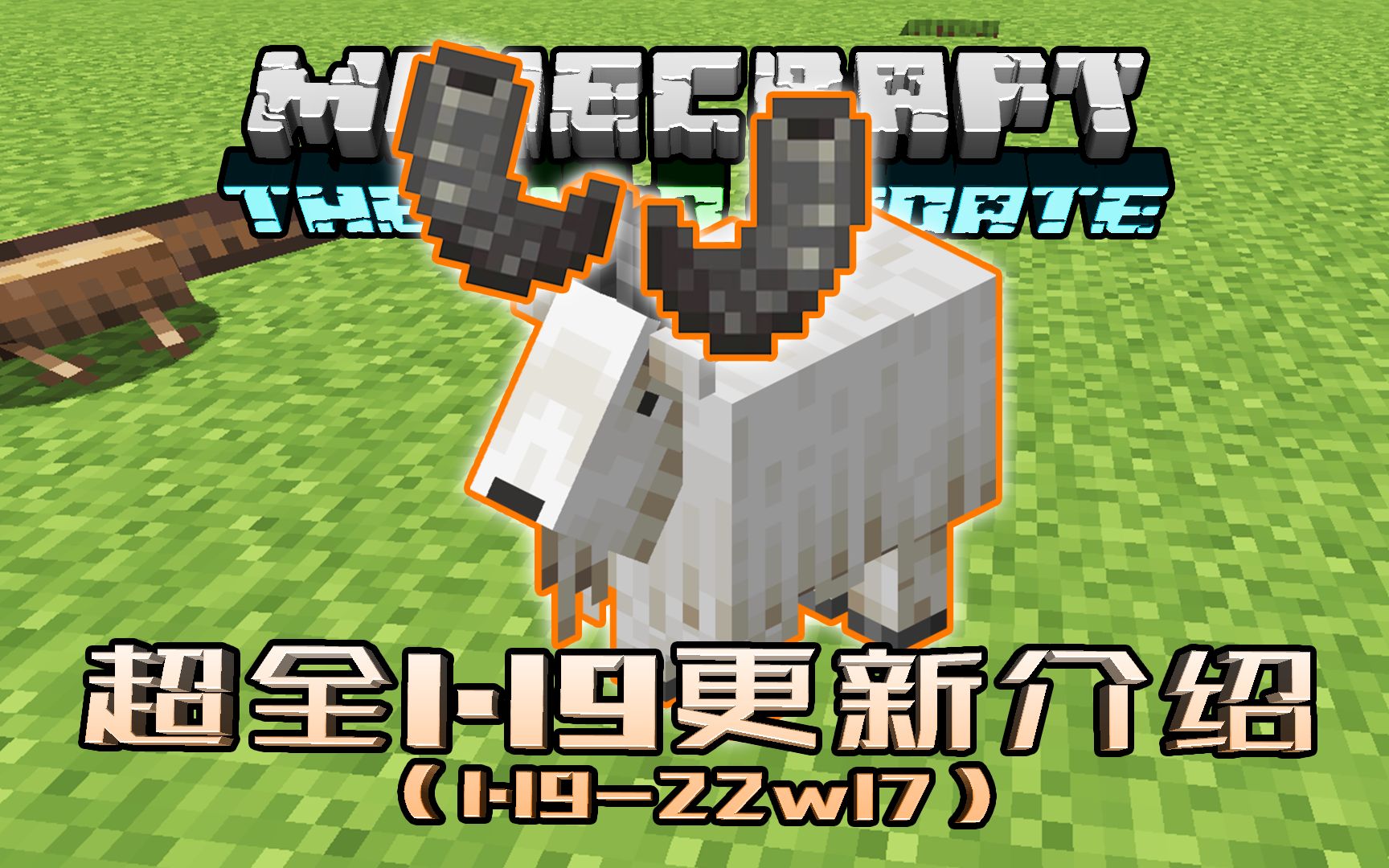 【1.19更新】8种山羊角,材质bug修复,炸方块掉经验反复横跳【22w17a...