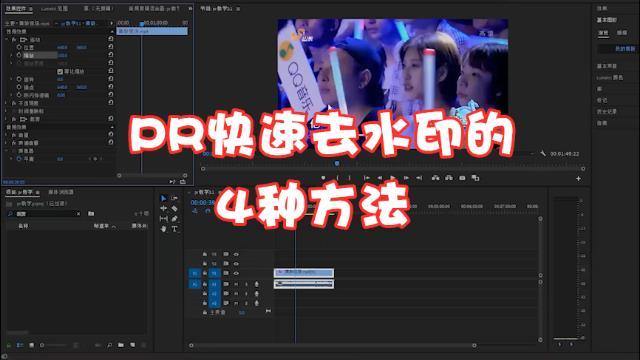 PR干货教程:快速去水印的4种方法