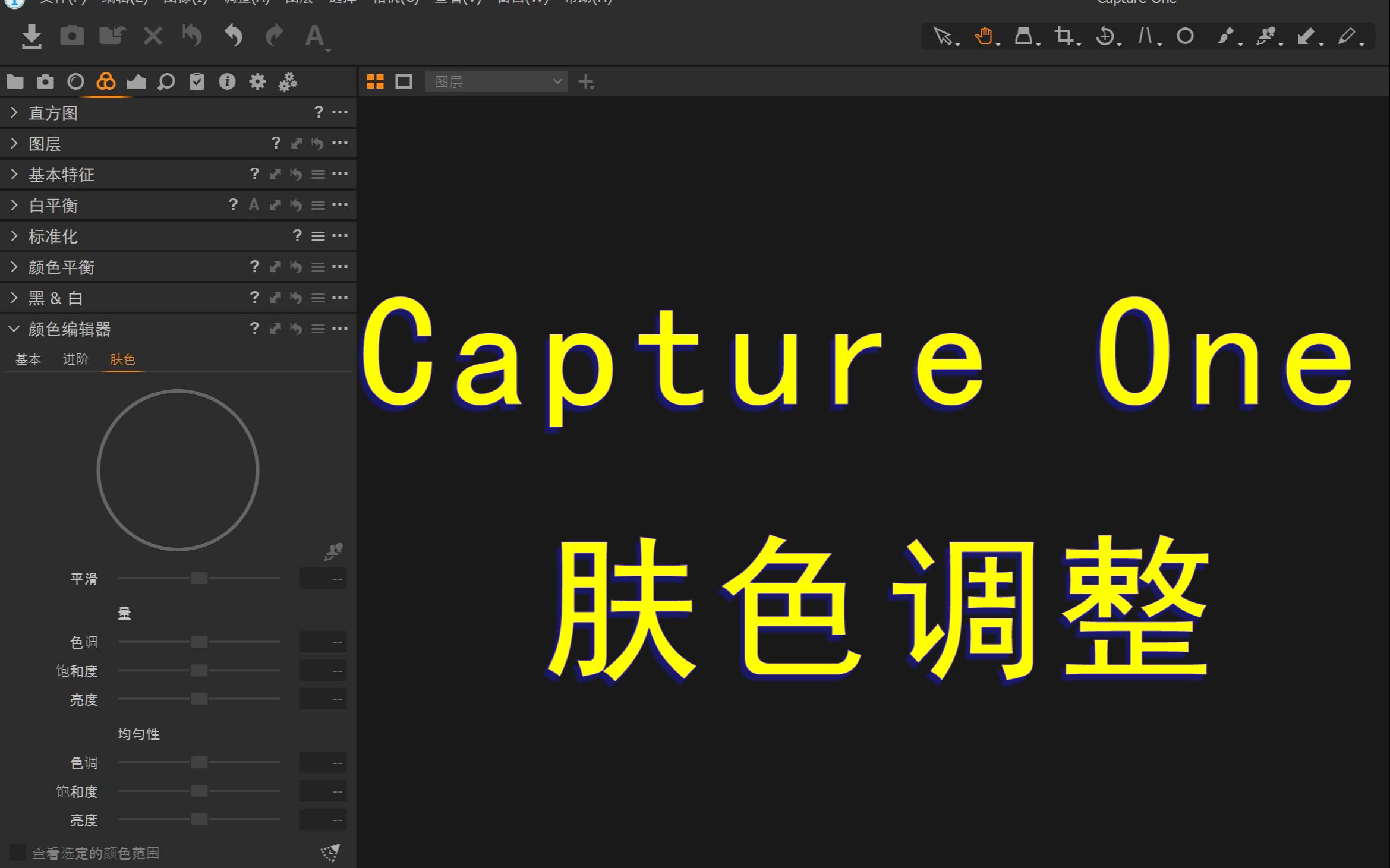 【1分钟后期】使用Capture One软件调整肤色——A7M3拍摄