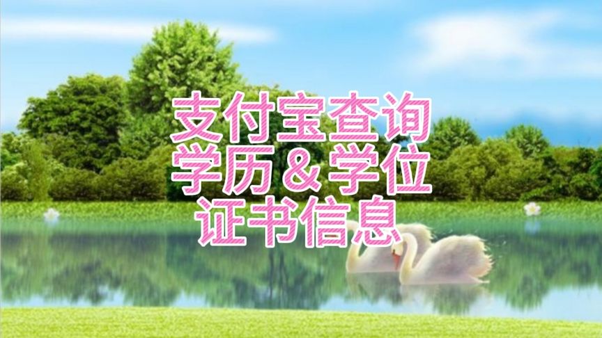 支付宝查询学历&学位证书信息