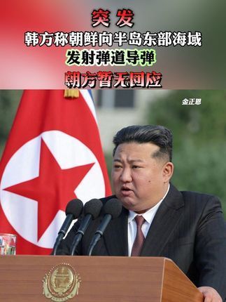 突发!韩方称朝鲜向半岛东部海域发射弹道导弹,朝方暂无回应!#朝鲜#...