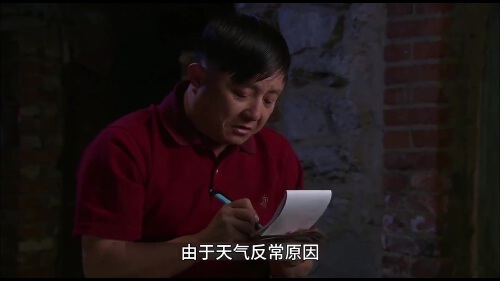 商业励志感人催泪爱情电视剧 女人没想到被自己的小叔子爱上