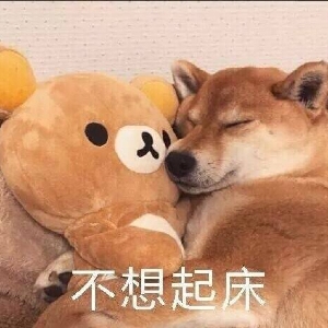 德艺双馨的俩乐 