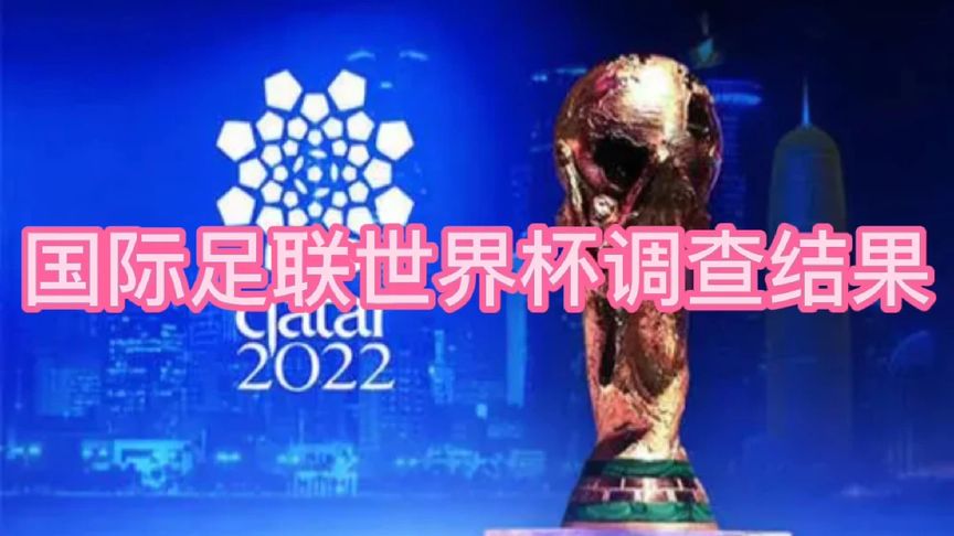国际足联世界杯调查结果