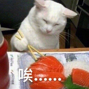 普通那菈馄饨 