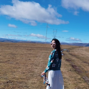 叫Rita的小黄 