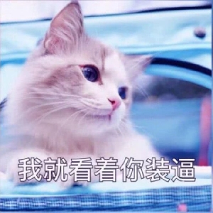 卑微幻想 