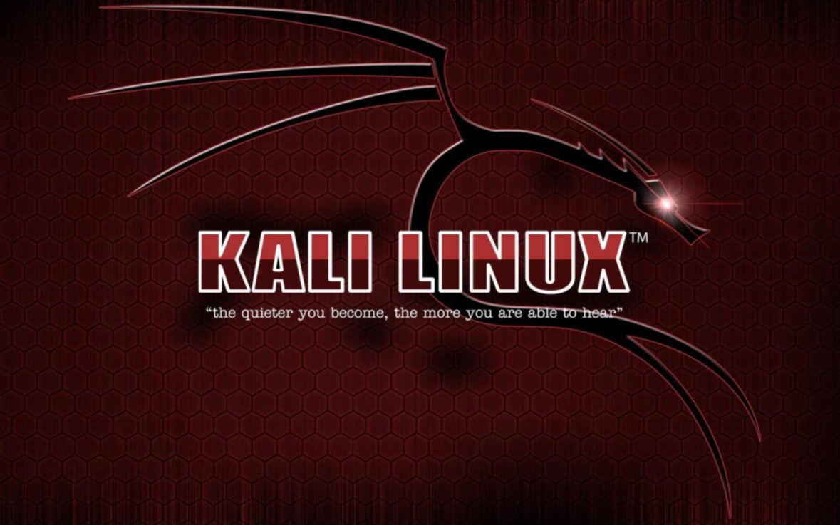 网站安全与网络安全及计算机安全:小白是如何入门和掌握Kali Linux...