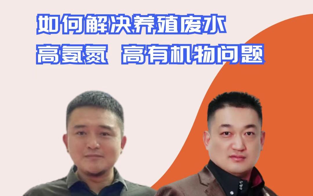 “污”师课堂 第33期 如何解决养殖废水的高氨氮、高有机物问题