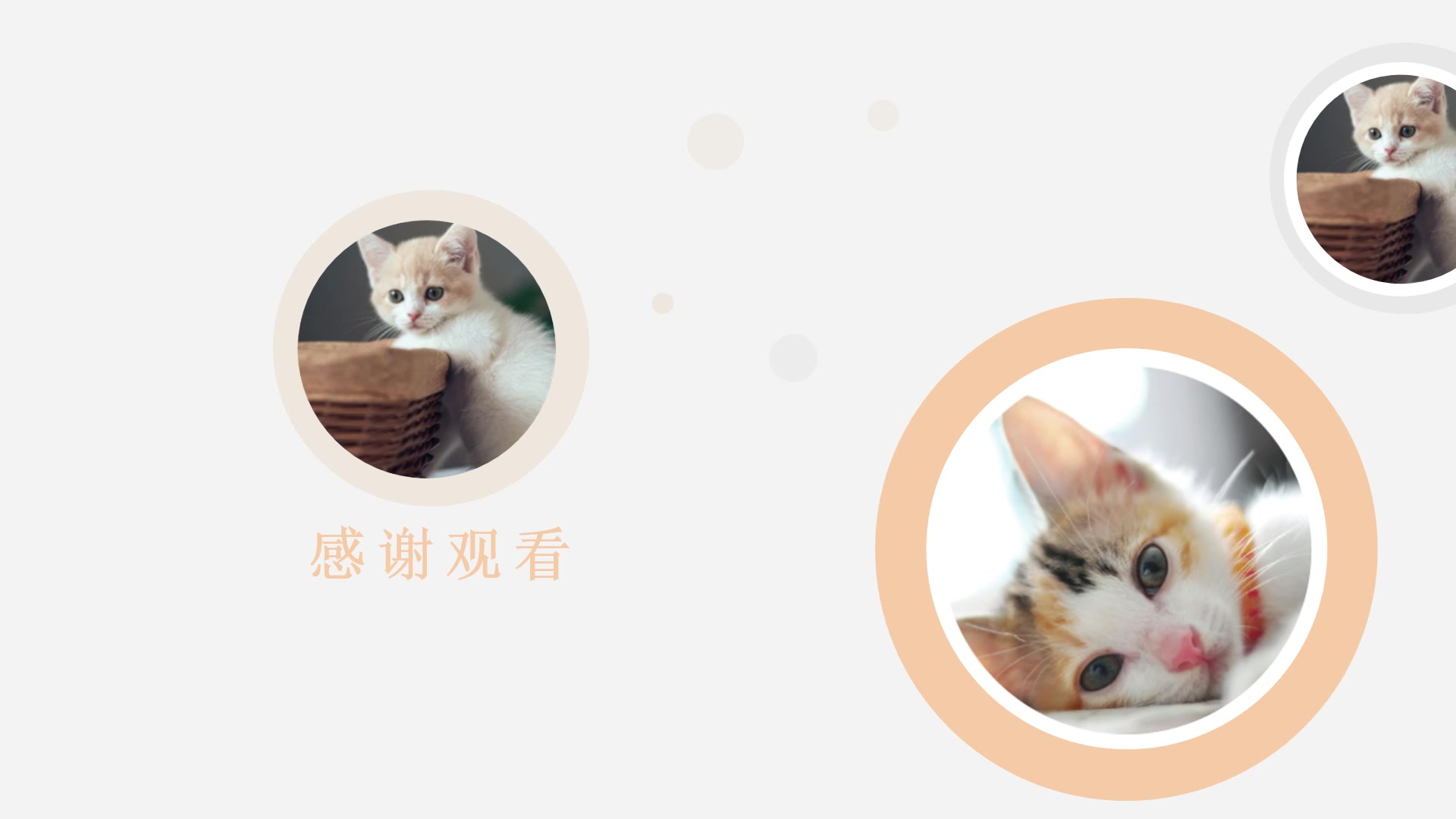 小米11ultra升级dxo版后跑3dmark压力测试无法完成?