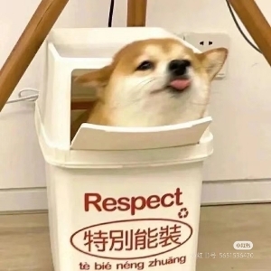 赛博朋克失眠羊 