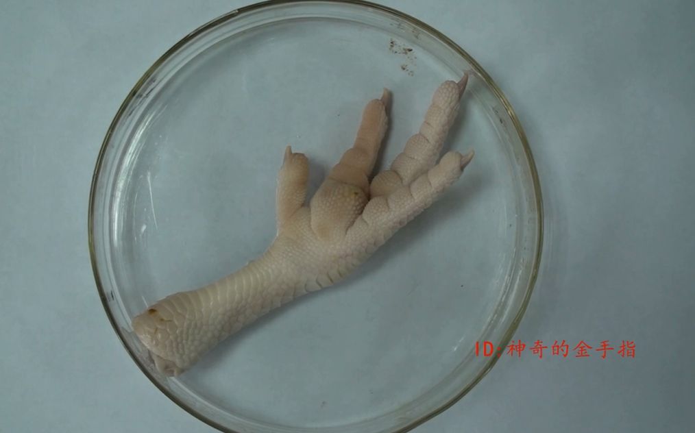 论氢氧化钠的杀伤力