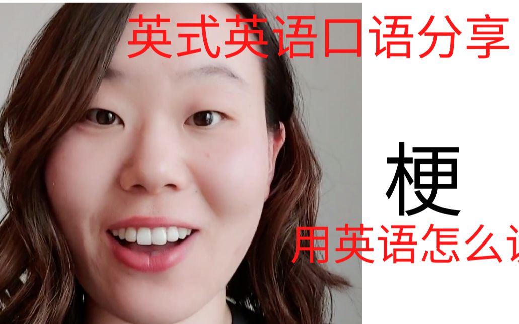 “梗”、“接梗秒懂”、“接不住梗”用英语怎么说?英式英语口语分享