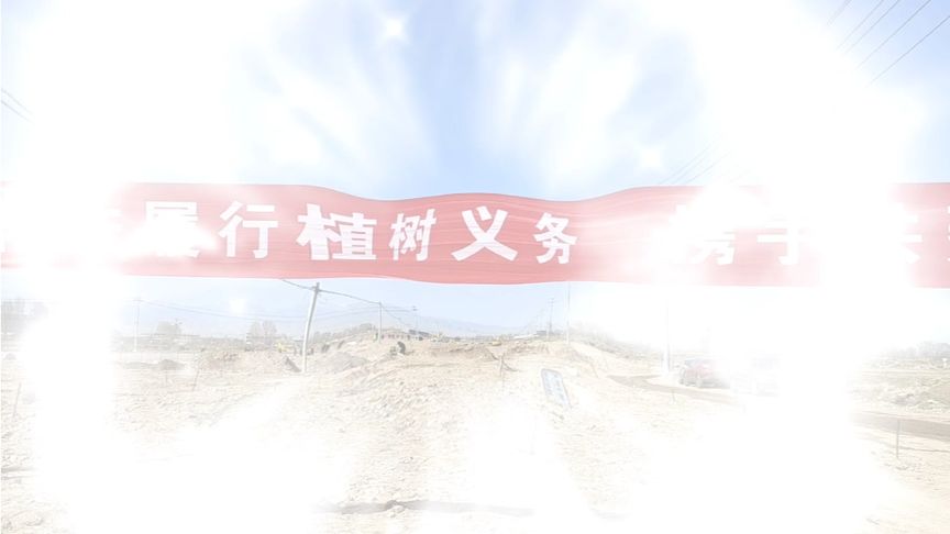 植树造林 人人有责