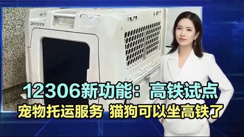 12306新功能:高铁试点"宠物托运"服务,猫狗可以坐高铁了