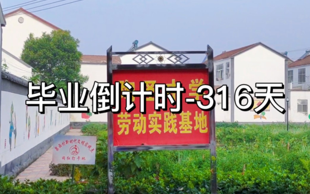 【毕业倒计时】316天-是一群勤劳的人儿啊～