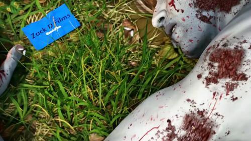 科学家可以通过昆虫来判断尸体的死亡时间