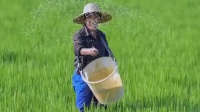 过去农业不发达的年代,农民是如何种地的?