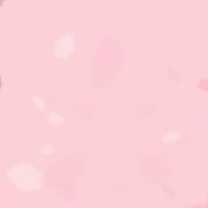 扎比酱 