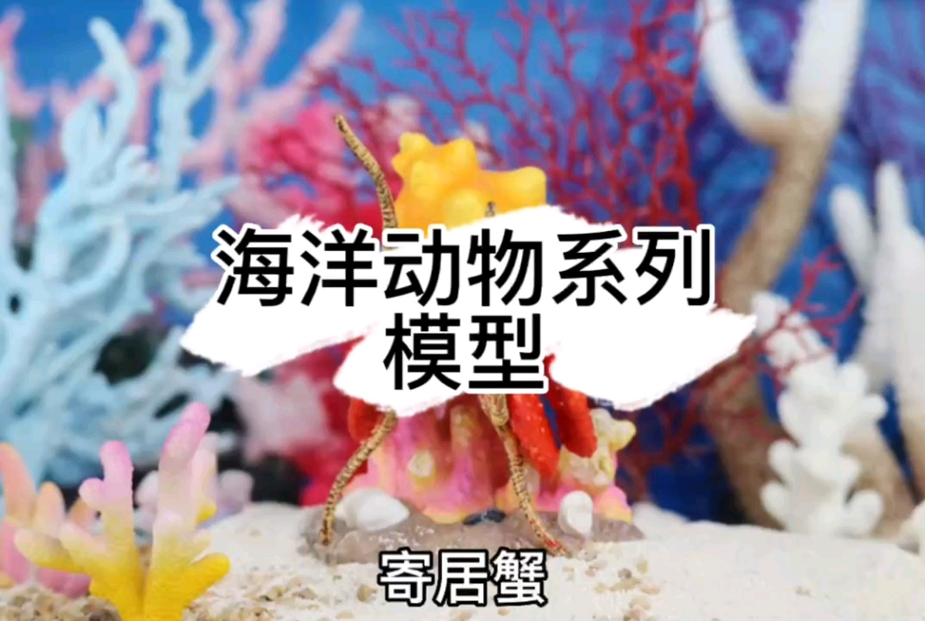 超有感觉的海洋动物模型,也太适合场景制作了吧