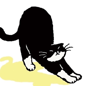 小猫充满我 
