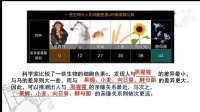 初二生物 7.3.2生物进化的历程