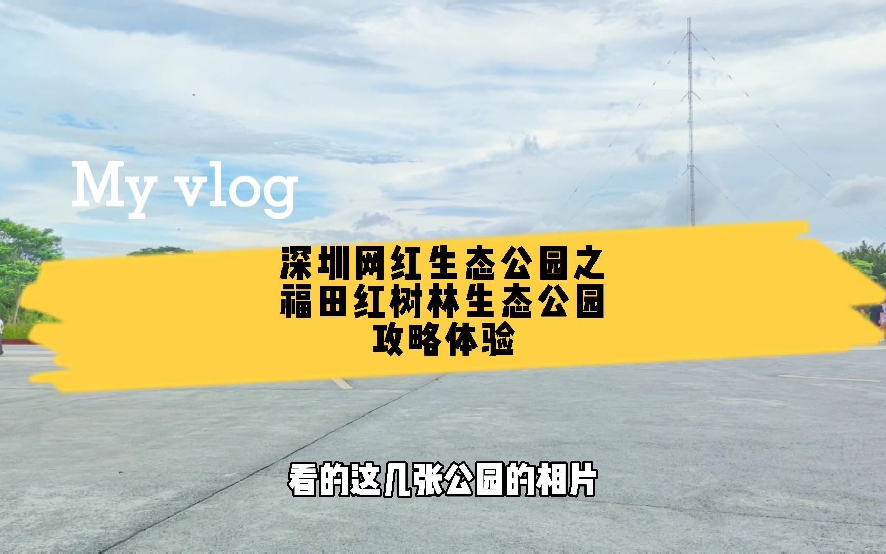 深圳福田红树林湿地公园,是周末溜娃观鸟最佳去处,你知道是怎么样的吗
