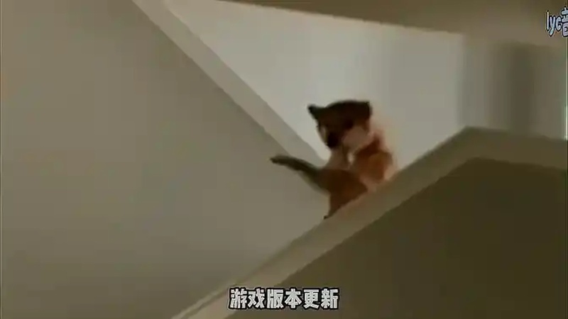4 梦幻模拟战新版本正式来袭,或将成为有史以来福利最大的一次!