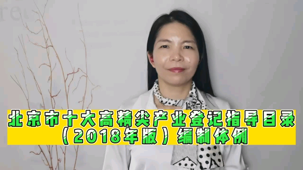 北京市十大高精尖产业登记指导目录