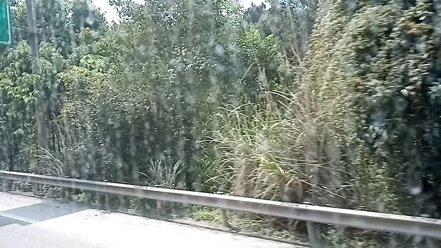 小长假后,第二次差旅在途。带你走进四川成渝高速,看风光无限。