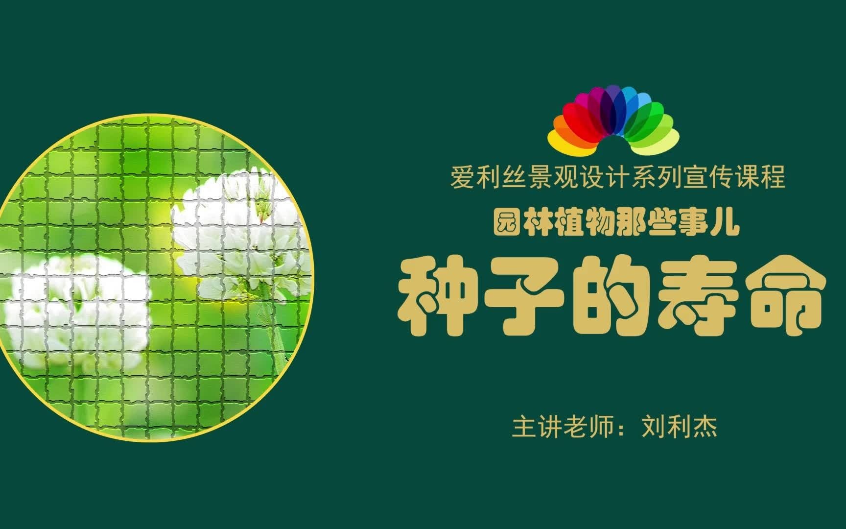 种子的寿命